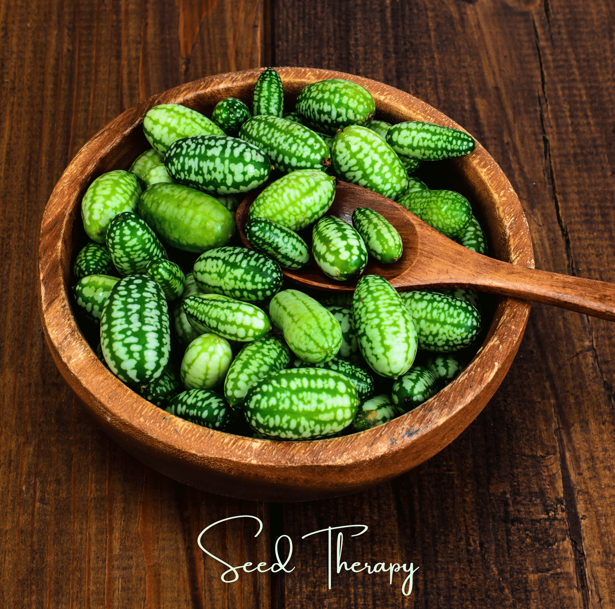 Mouse Melon – 10 Seeds – lifeintheplantlane