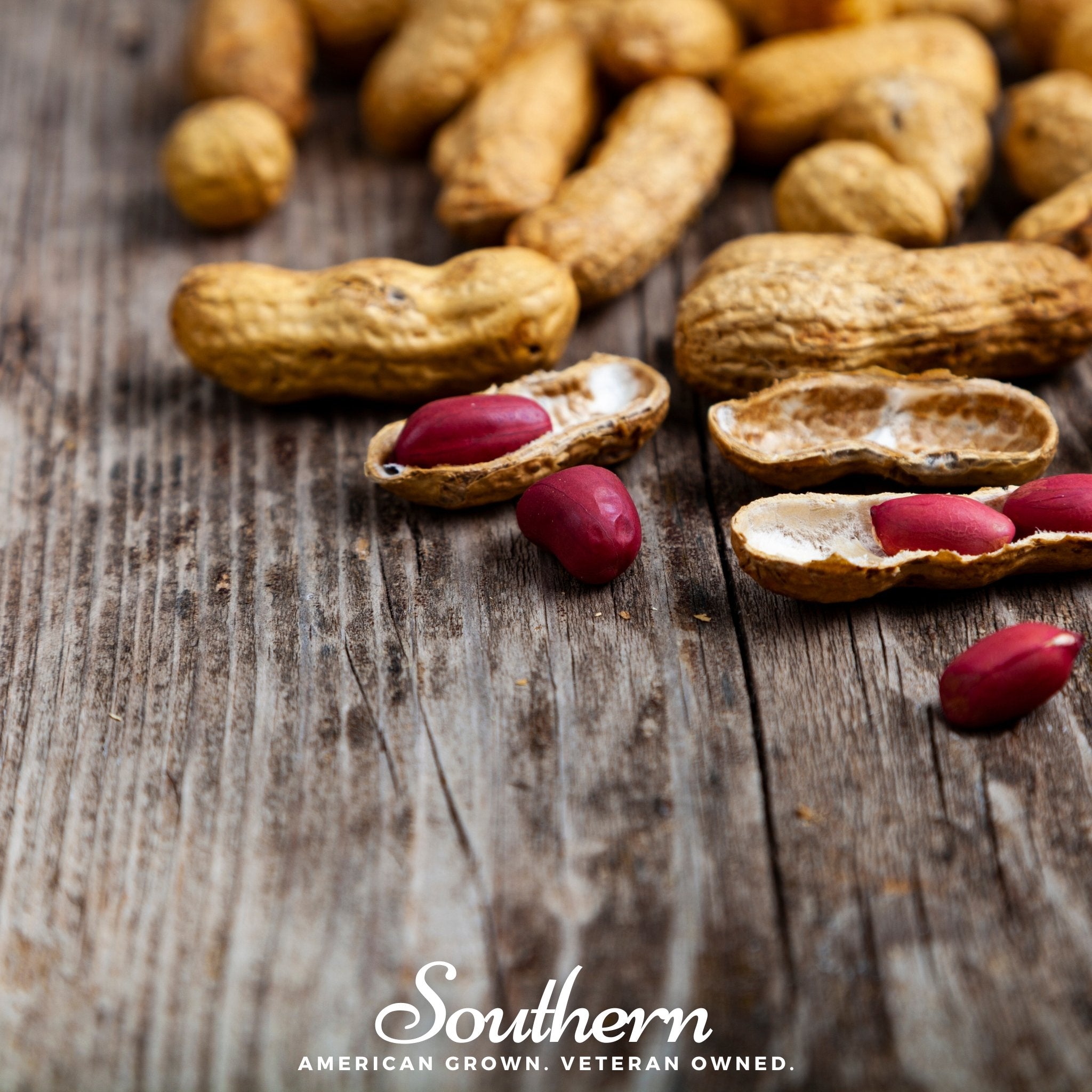 Tennessee Red Peanuts – 10 Seeds – lifeintheplantlane